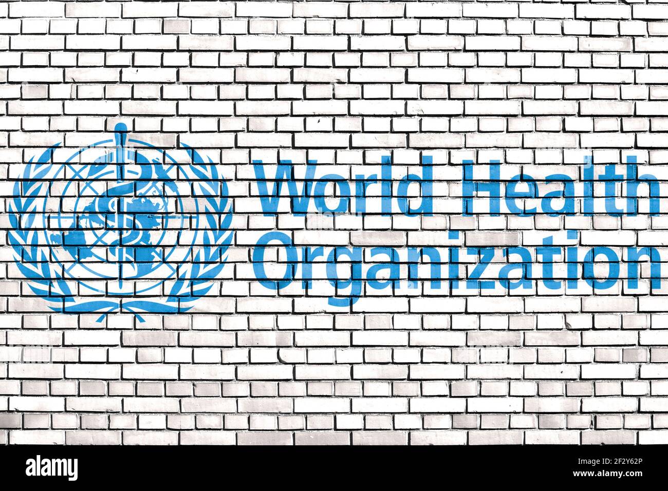 World Health Organization Logo Png