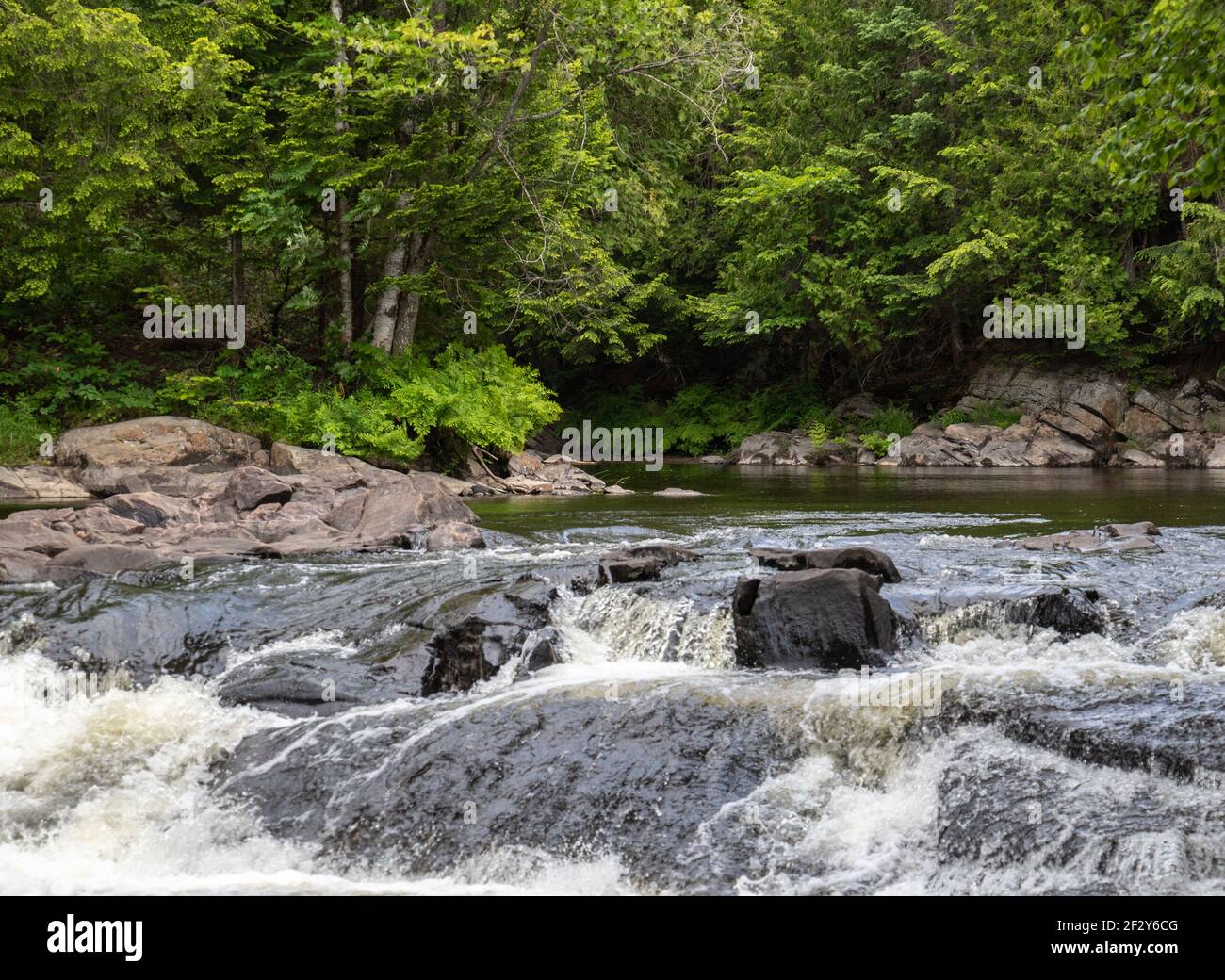 Water rocks river forest hi-res stock photography and images - Alamy