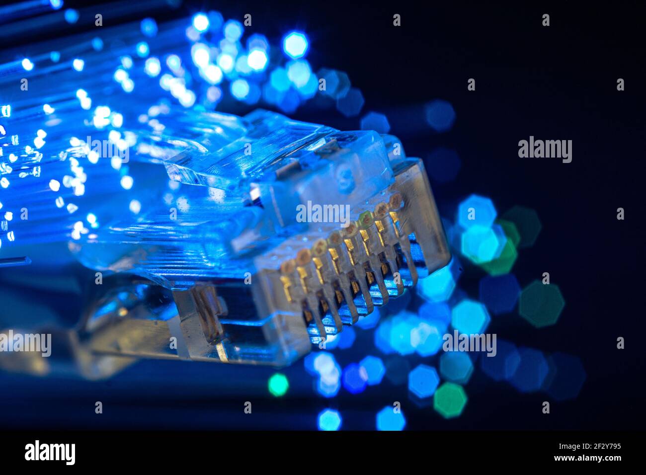 super macro detail of an RJ45 network connector surrounded by blue out ...