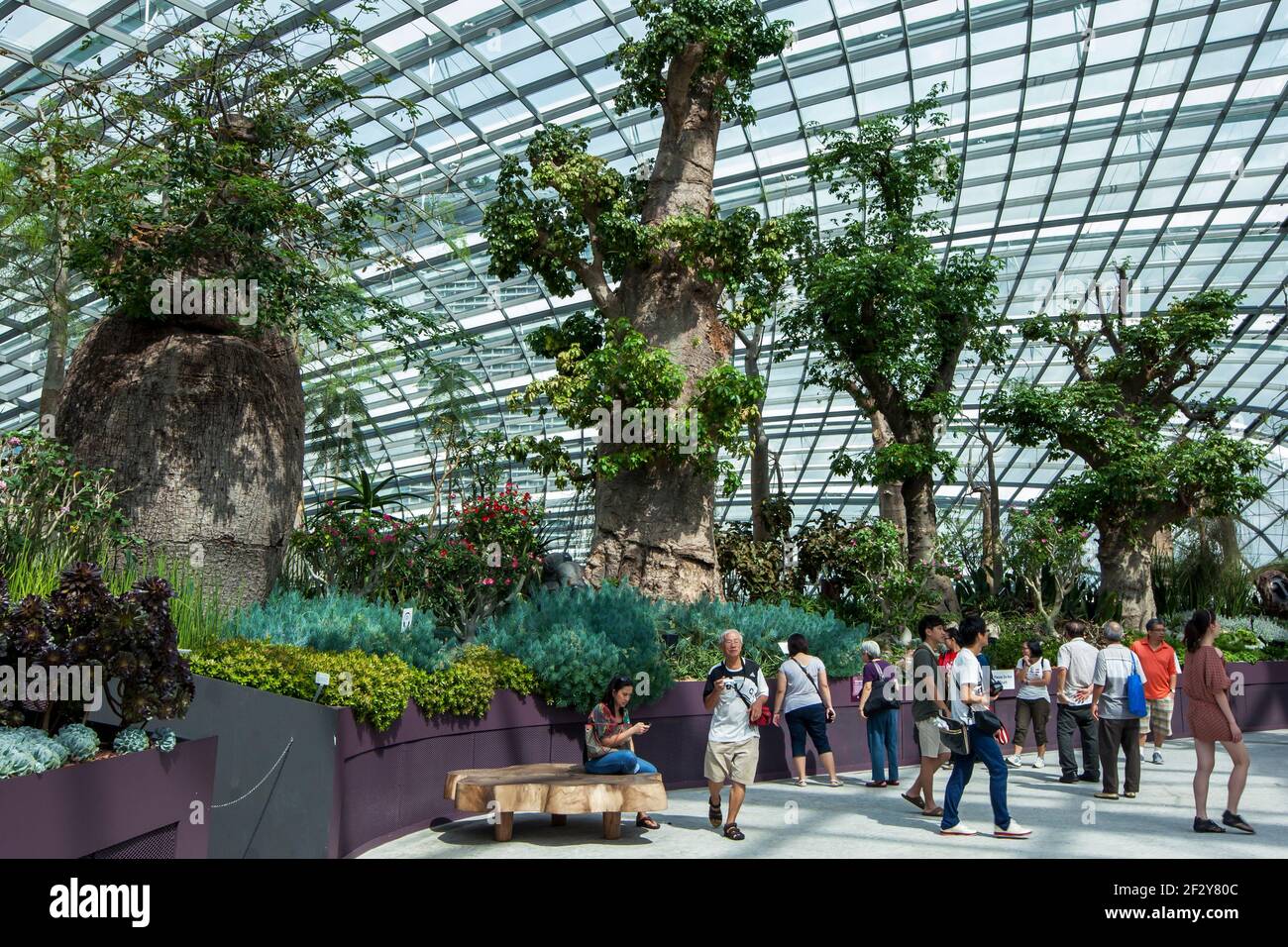 Part of the magnificent atrium display including boab trees at the ...