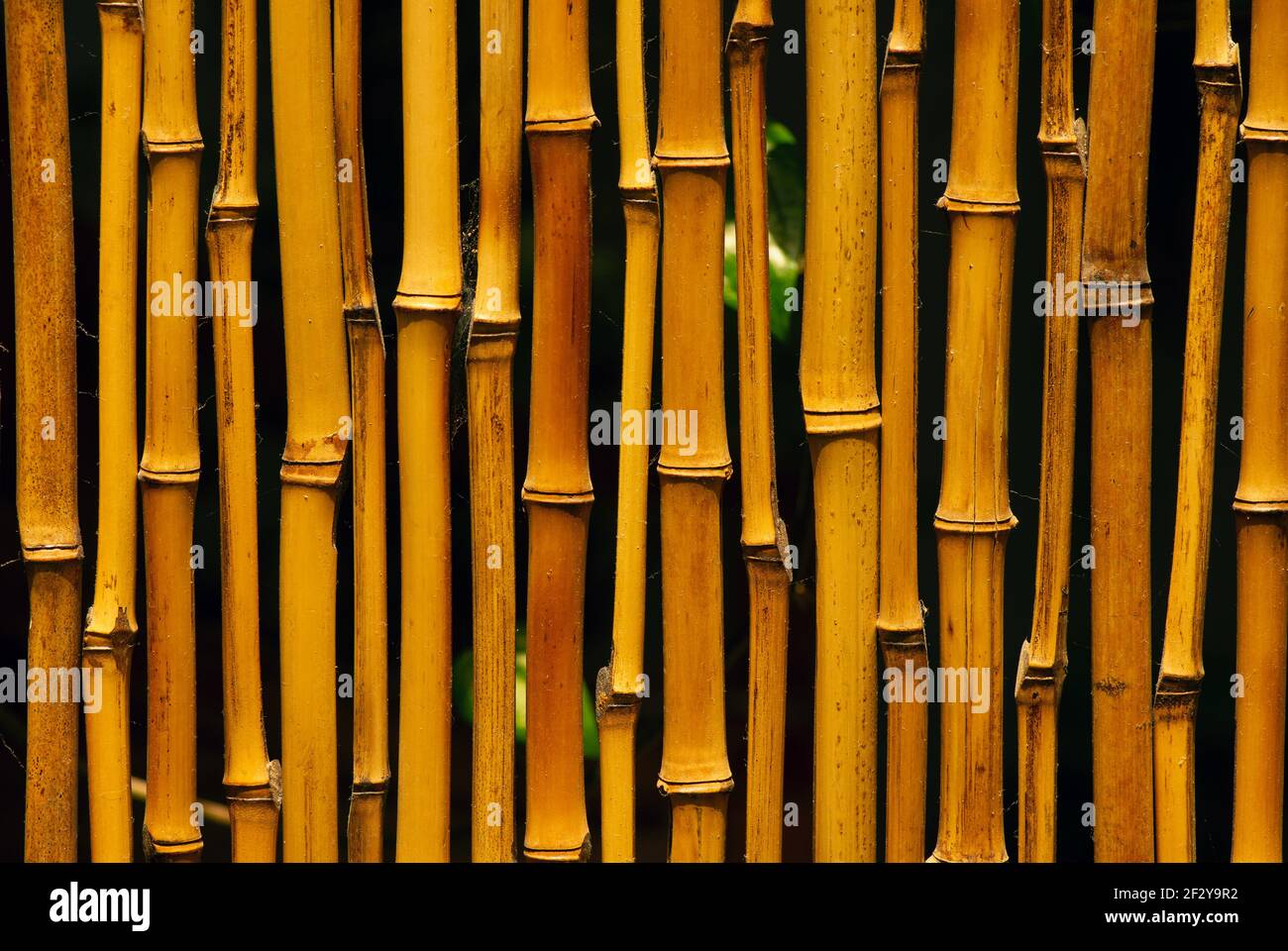 Traditional bamboo crafts for room dividers and room backgrounds Stock ...