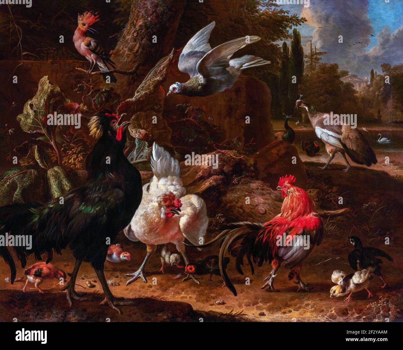 Birds in a park. In the foreground two roosters and a hen with her ...