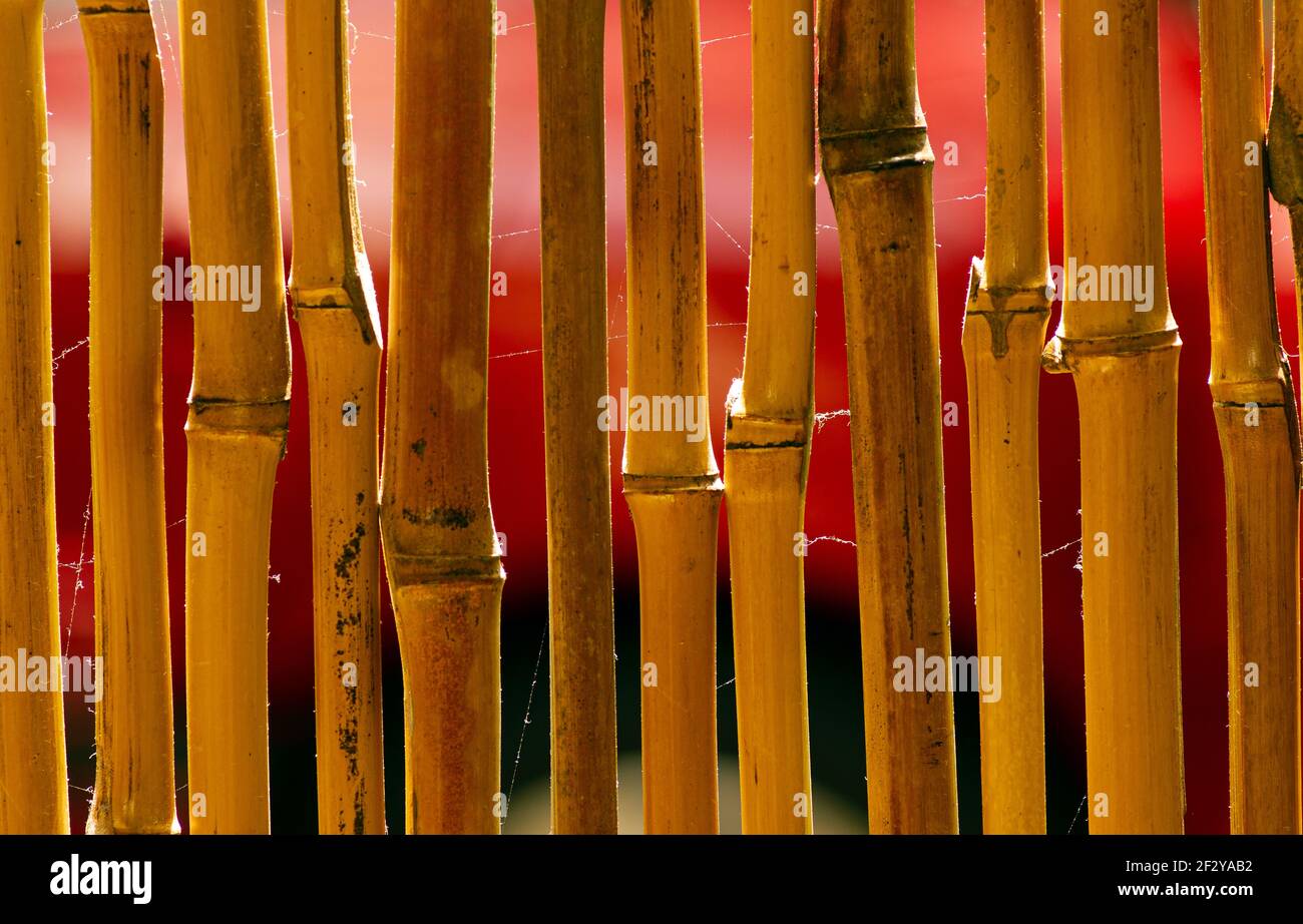 Traditional bamboo crafts for room dividers and room backgrounds Stock ...