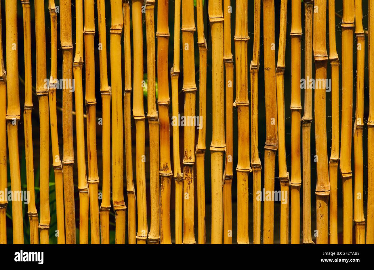 Traditional bamboo crafts for room dividers and room backgrounds Stock ...