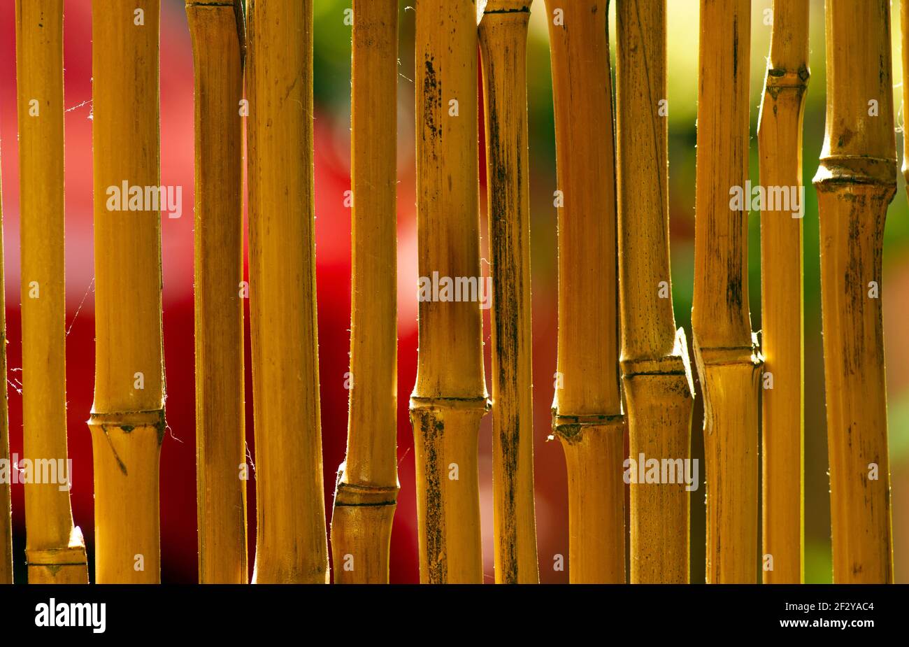 Traditional bamboo crafts for room dividers and room backgrounds Stock ...