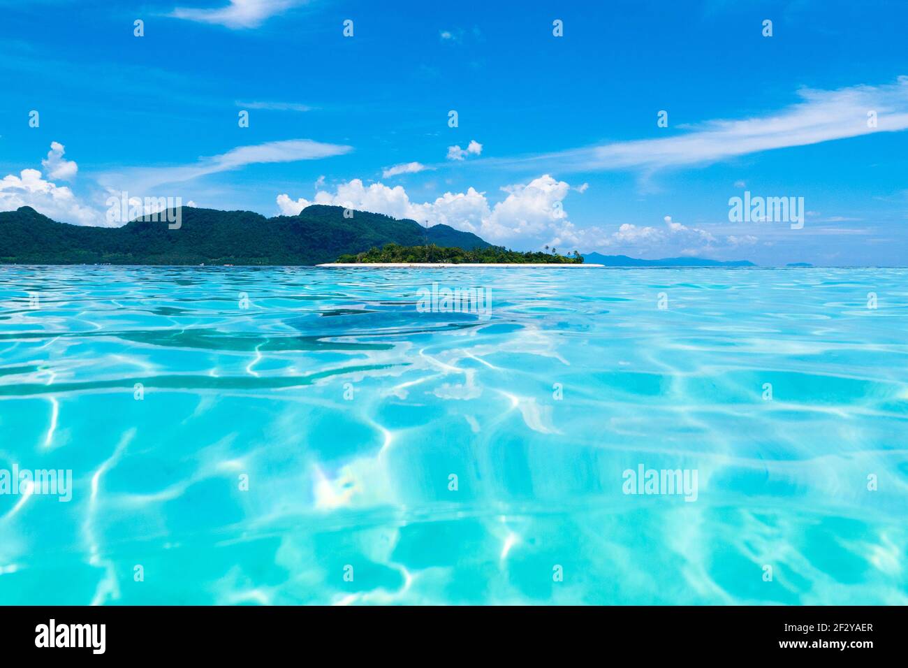 Tropical island with coconut palm. Beach and sea fun. Scenic view of ...