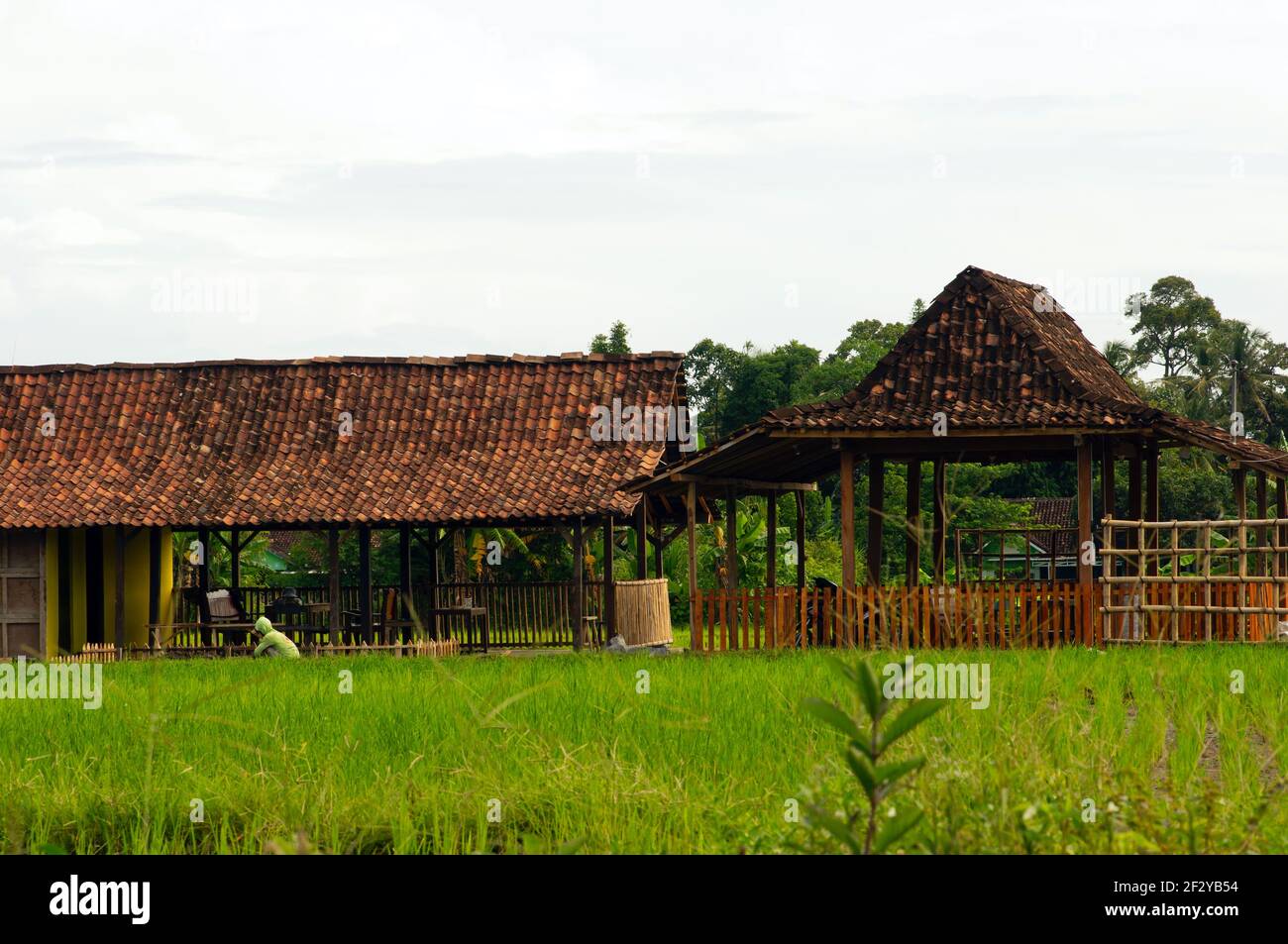 Joglo java hi-res stock photography and images - Alamy