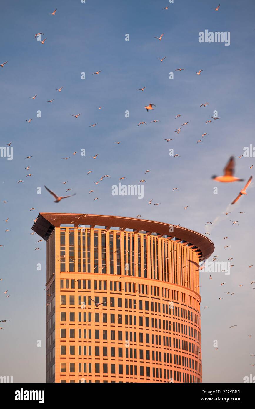 Federal Courthouse in cleveland ohio Stock Photo - Alamy