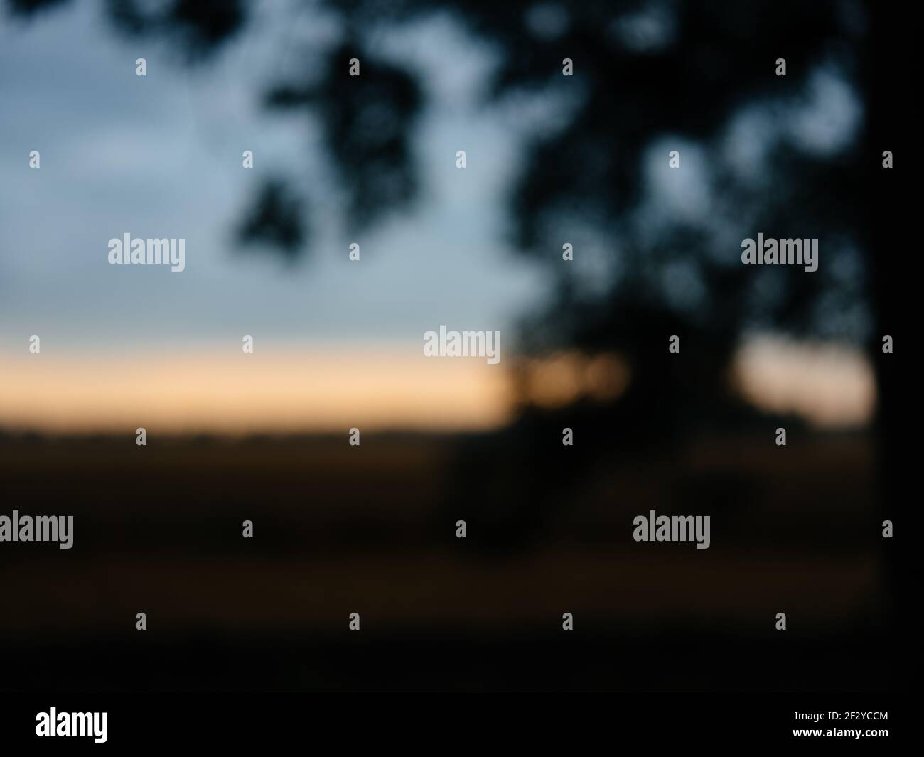 Nature fresh air on dry fields grass trees Stock Photo - Alamy