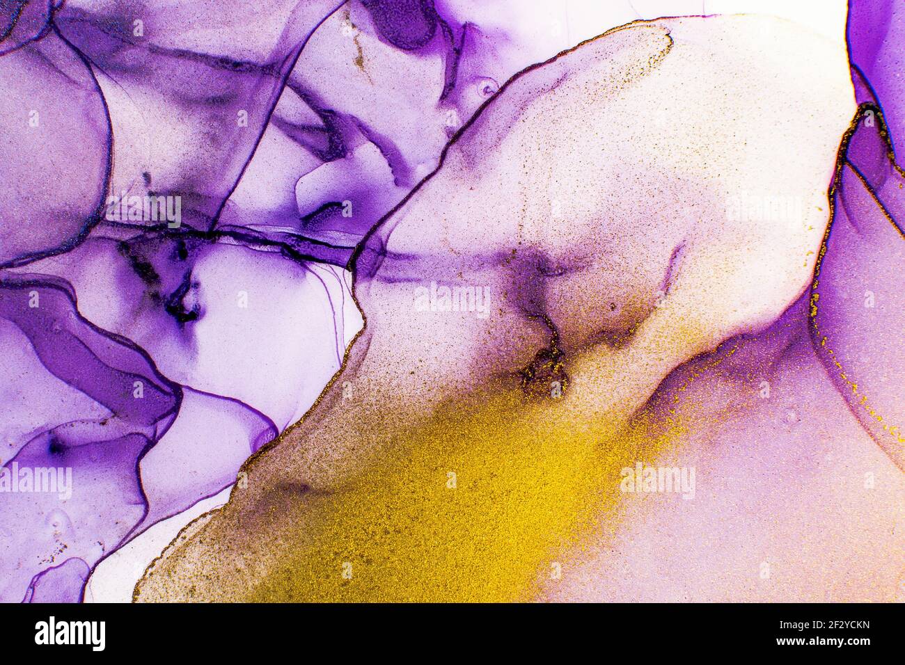 Grass under microscope hi-res stock photography and images - Alamy
