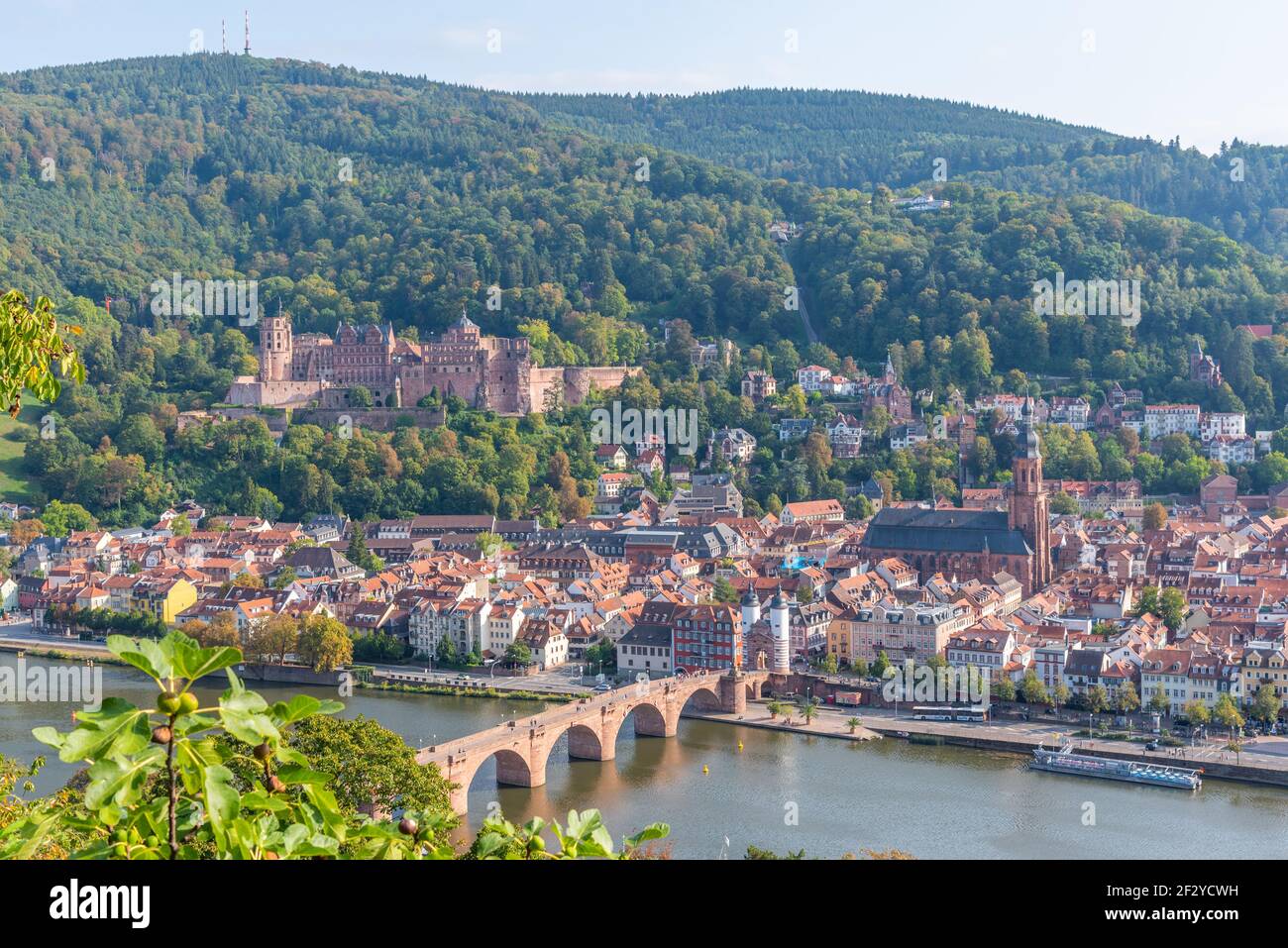 Panorama of Heidelberg behind Neckar river, Germany Stock Photo - Alamy