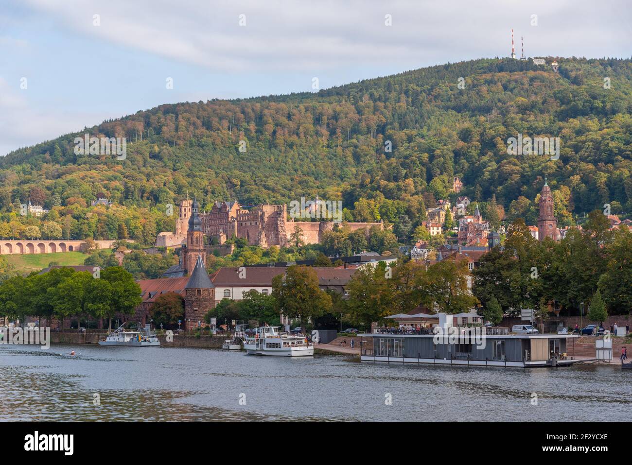 Panorama of Heidelberg behind Neckar river, Germany Stock Photo - Alamy