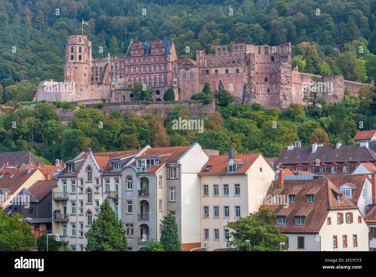 View of the Heidelberg castle in Germany Stock Photo - Alamy