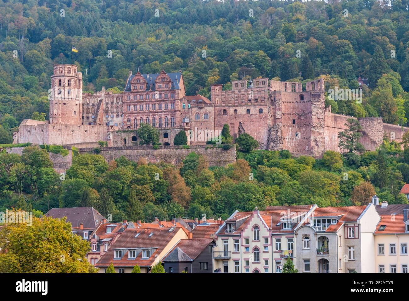 View of the Heidelberg castle in Germany Stock Photo - Alamy