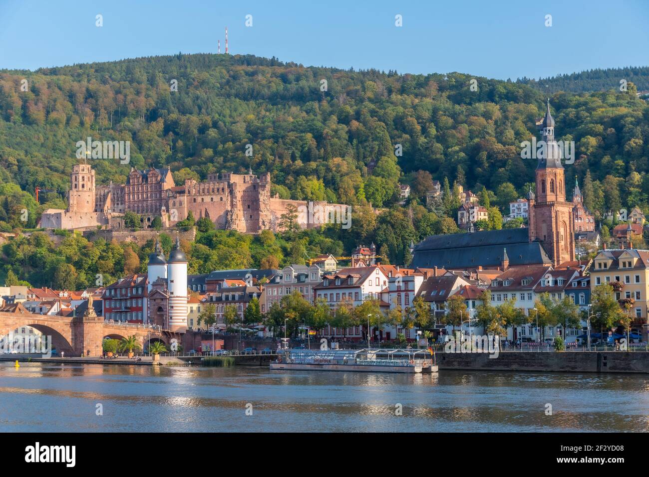 Panorama of Heidelberg behind Neckar river, Germany Stock Photo - Alamy