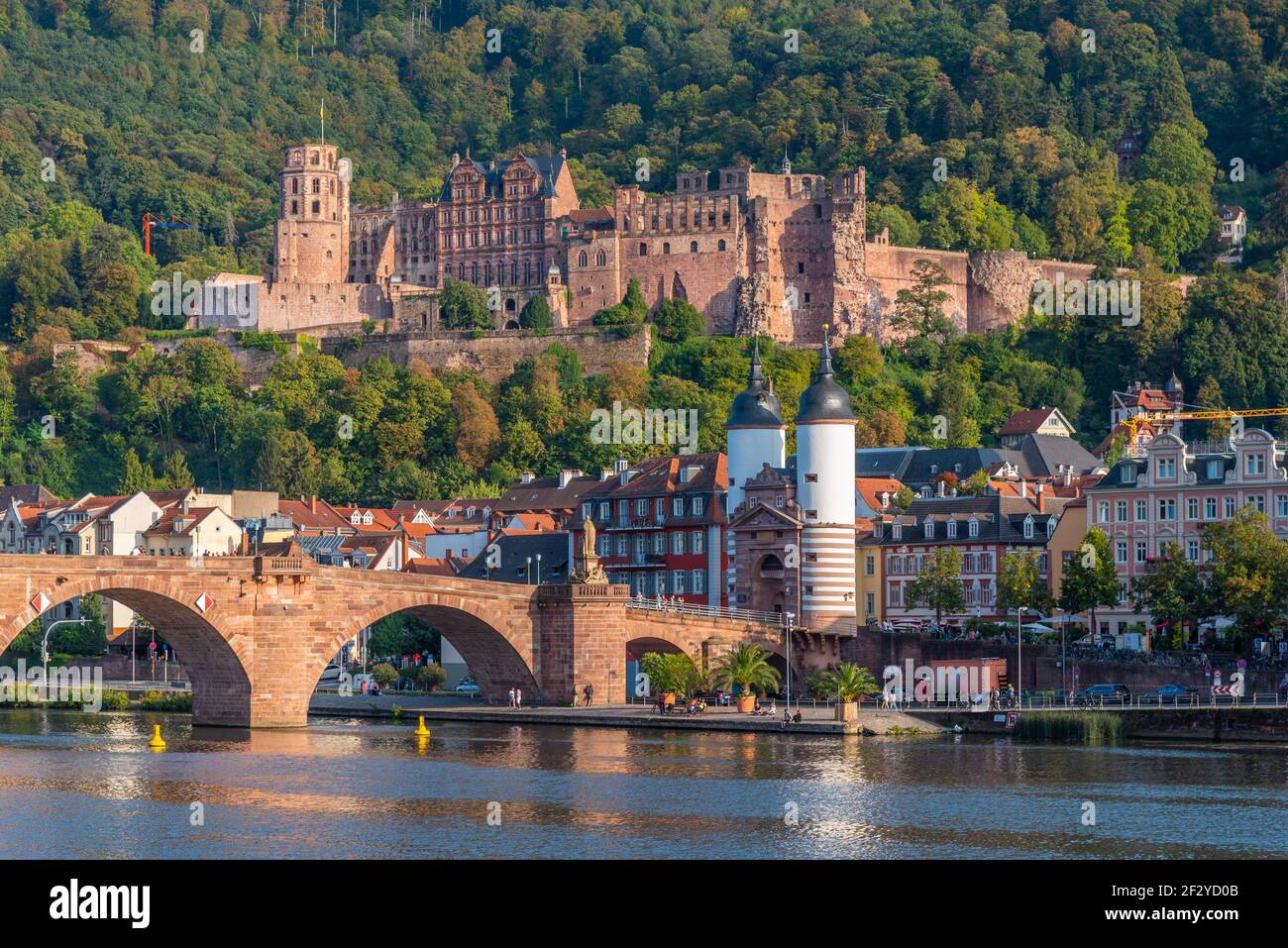 Panorama of Heidelberg behind Neckar river, Germany Stock Photo - Alamy