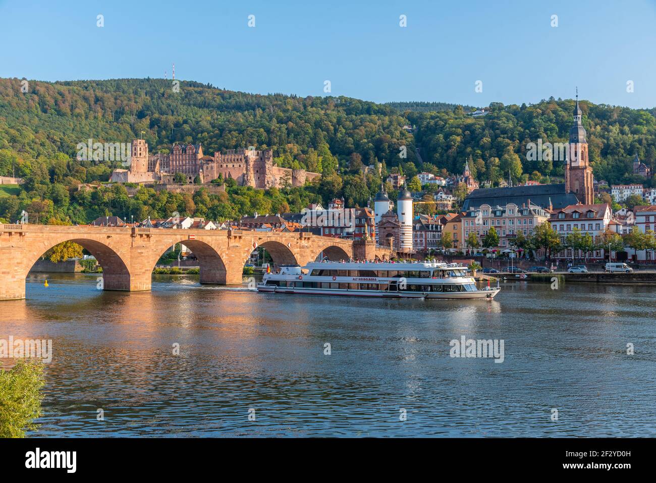 Panorama of Heidelberg behind Neckar river, Germany Stock Photo - Alamy
