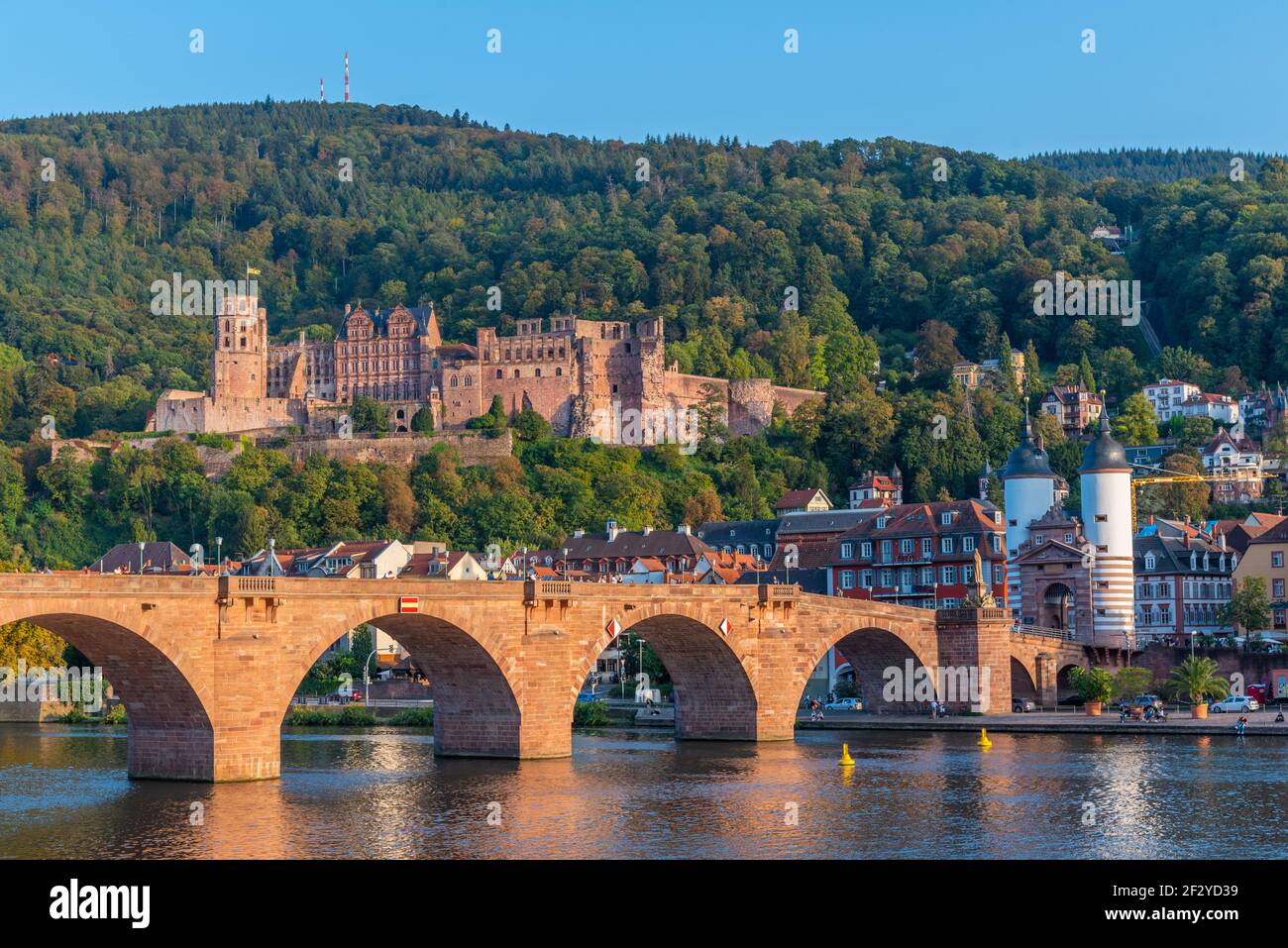 Panorama of Heidelberg behind Neckar river, Germany Stock Photo - Alamy