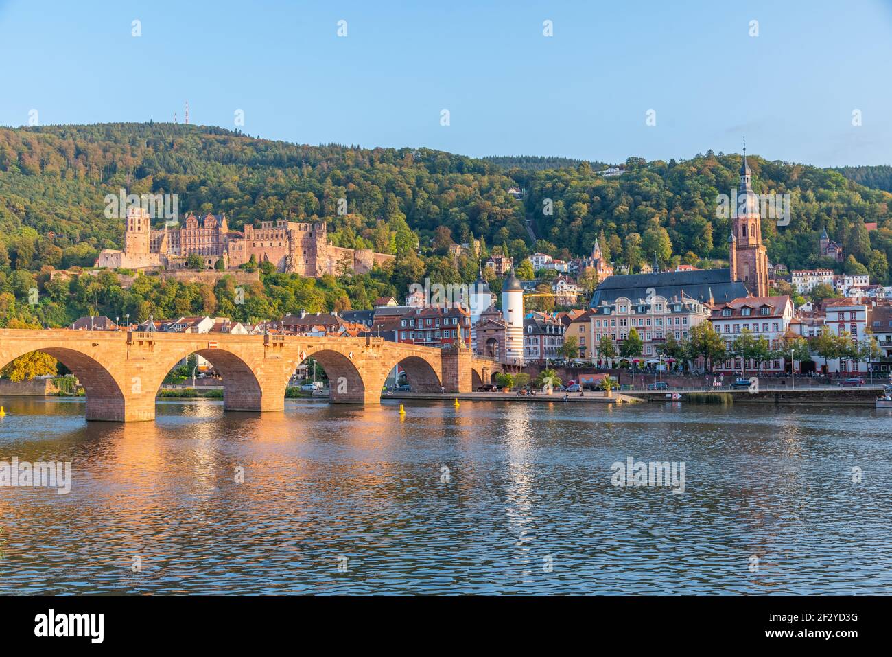 Panorama of Heidelberg behind Neckar river, Germany Stock Photo - Alamy