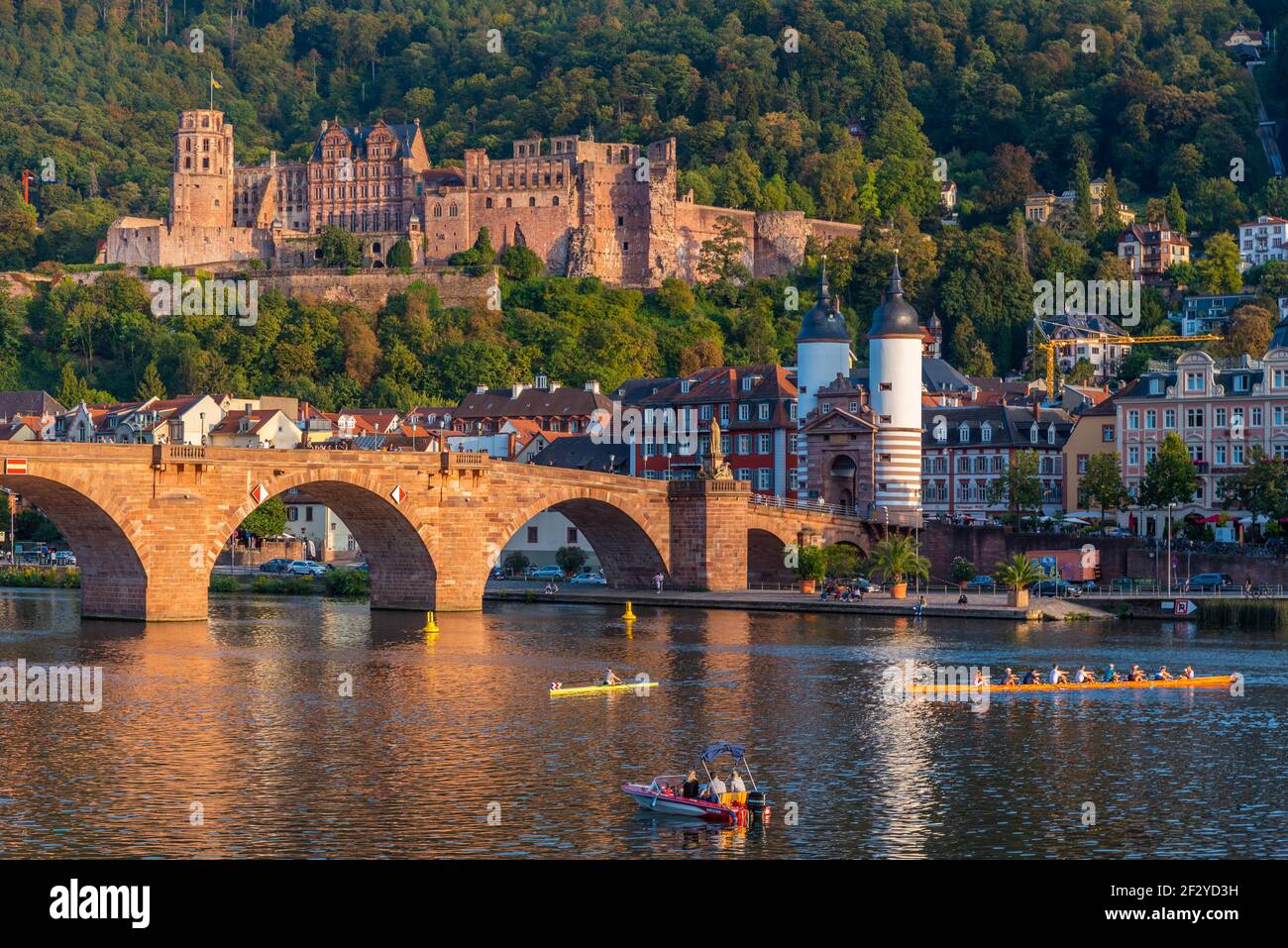 Panorama of Heidelberg behind Neckar river, Germany Stock Photo - Alamy