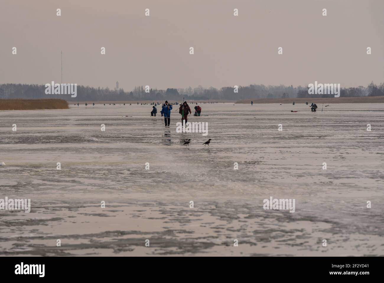 frozen river, bent and icy anglers fishing or moving along a frozen ...