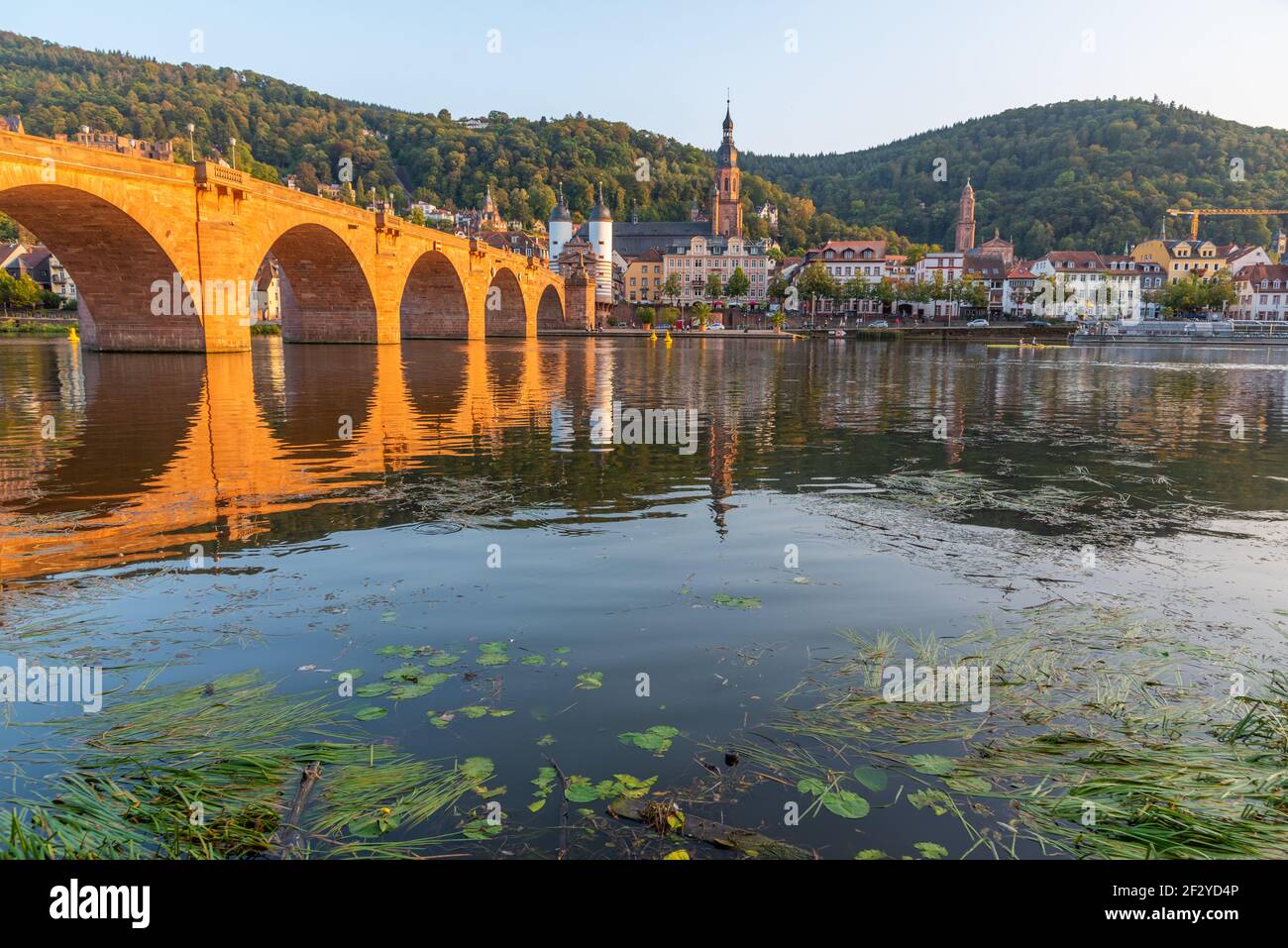 Panorama of Heidelberg behind Neckar river, Germany Stock Photo - Alamy