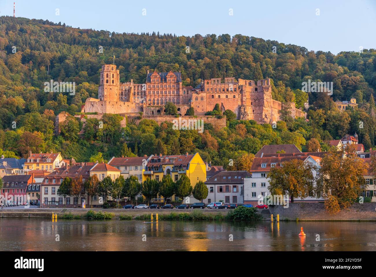 View of the Heidelberg castle in Germany Stock Photo - Alamy