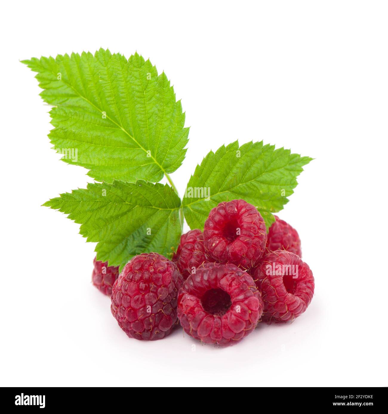 Raspberry with leaves isolated on white background Stock Photo - Alamy