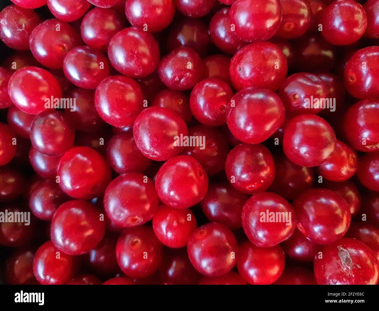red round cherry berries close up for background Stock Photo - Alamy