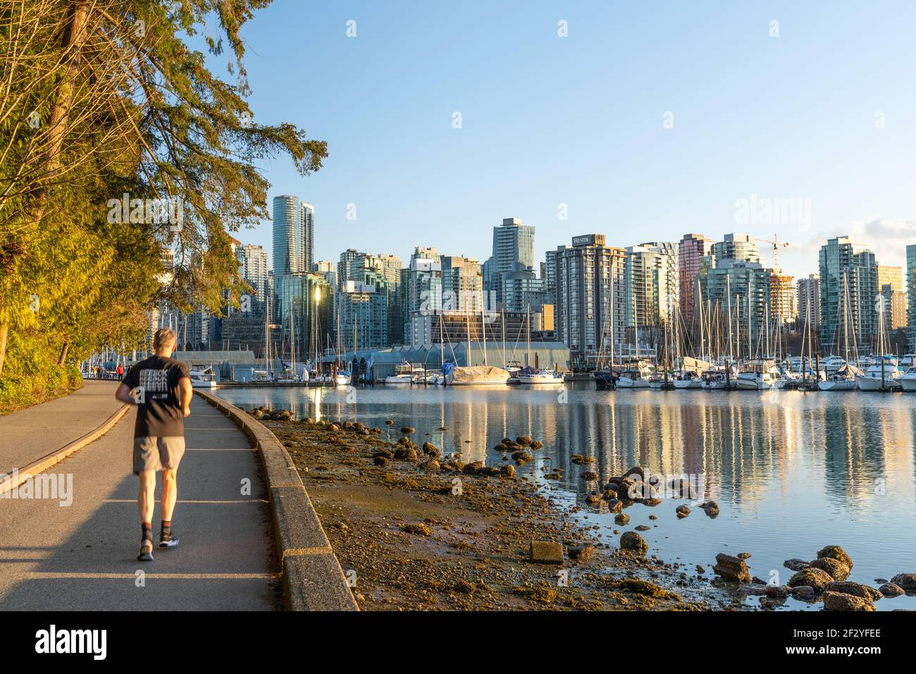 Stanley Park Seawall Run