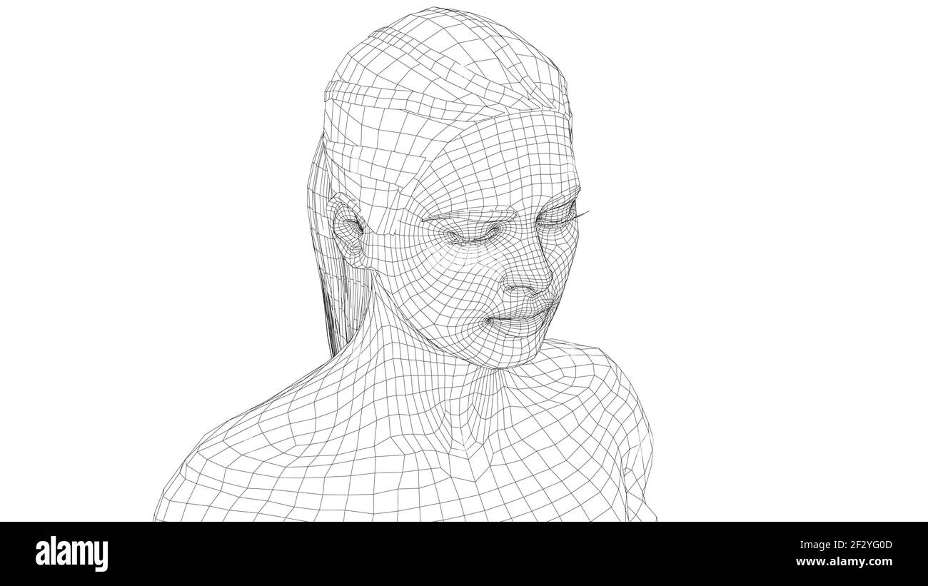 Wireframe portrait of a young beautiful girl Stock Vector Image & Art ...