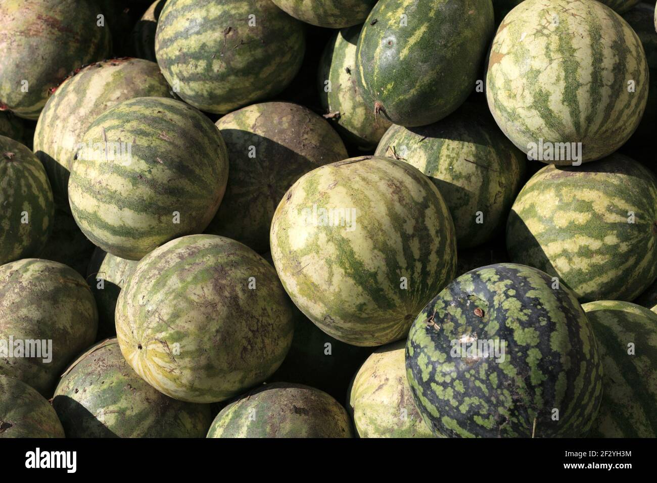 Stack watermelons sale hi-res stock photography and images - Alamy