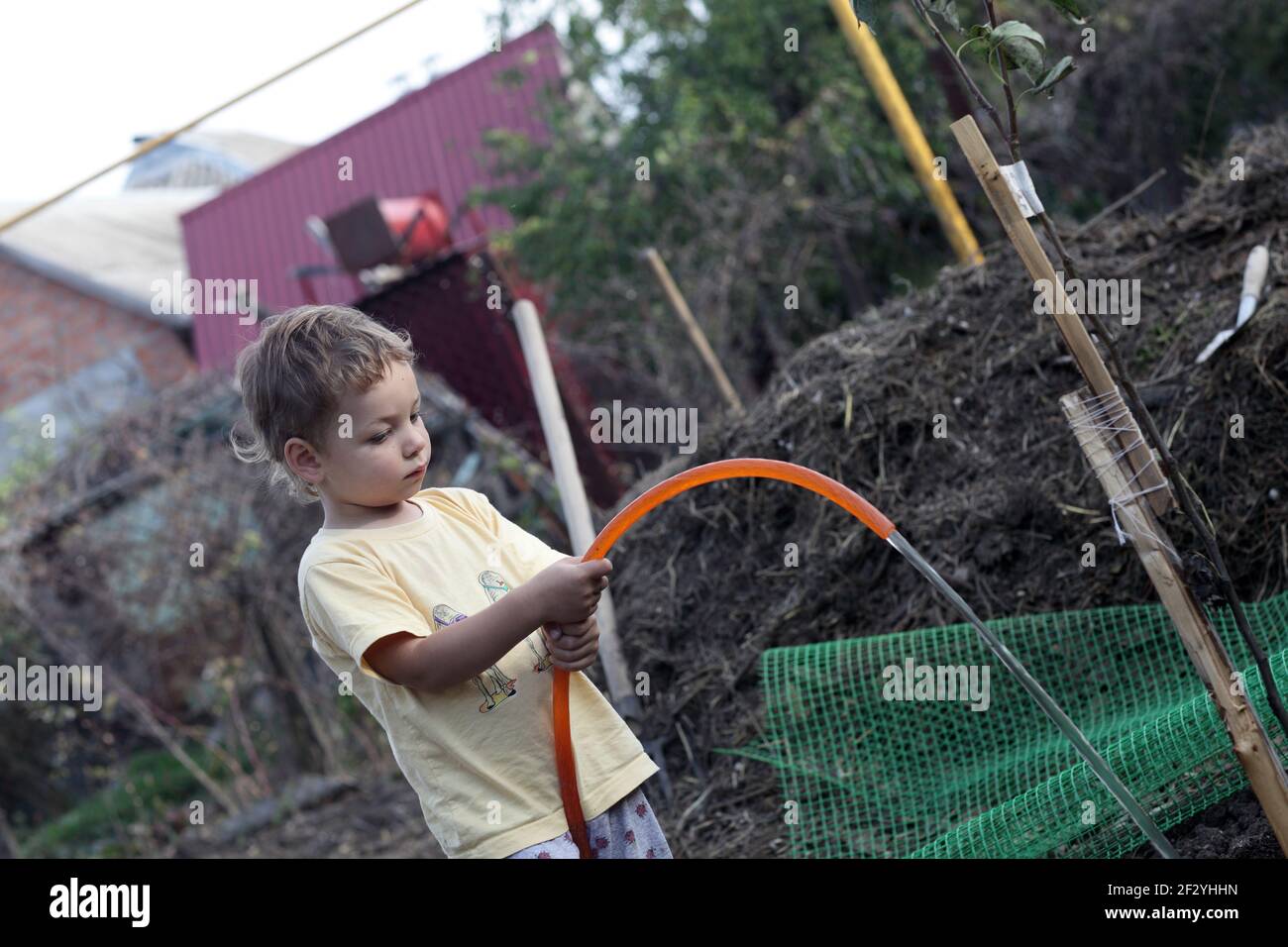 Child watering seedling of fruit tree in garden Stock Photo - Alamy