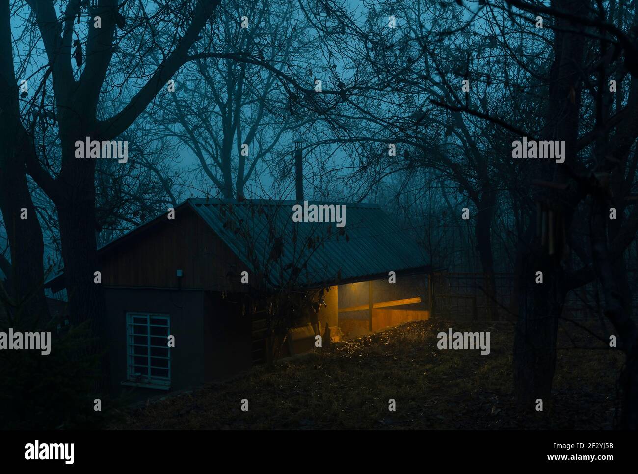 Silhouette large tree under hi-res stock photography and images - Alamy