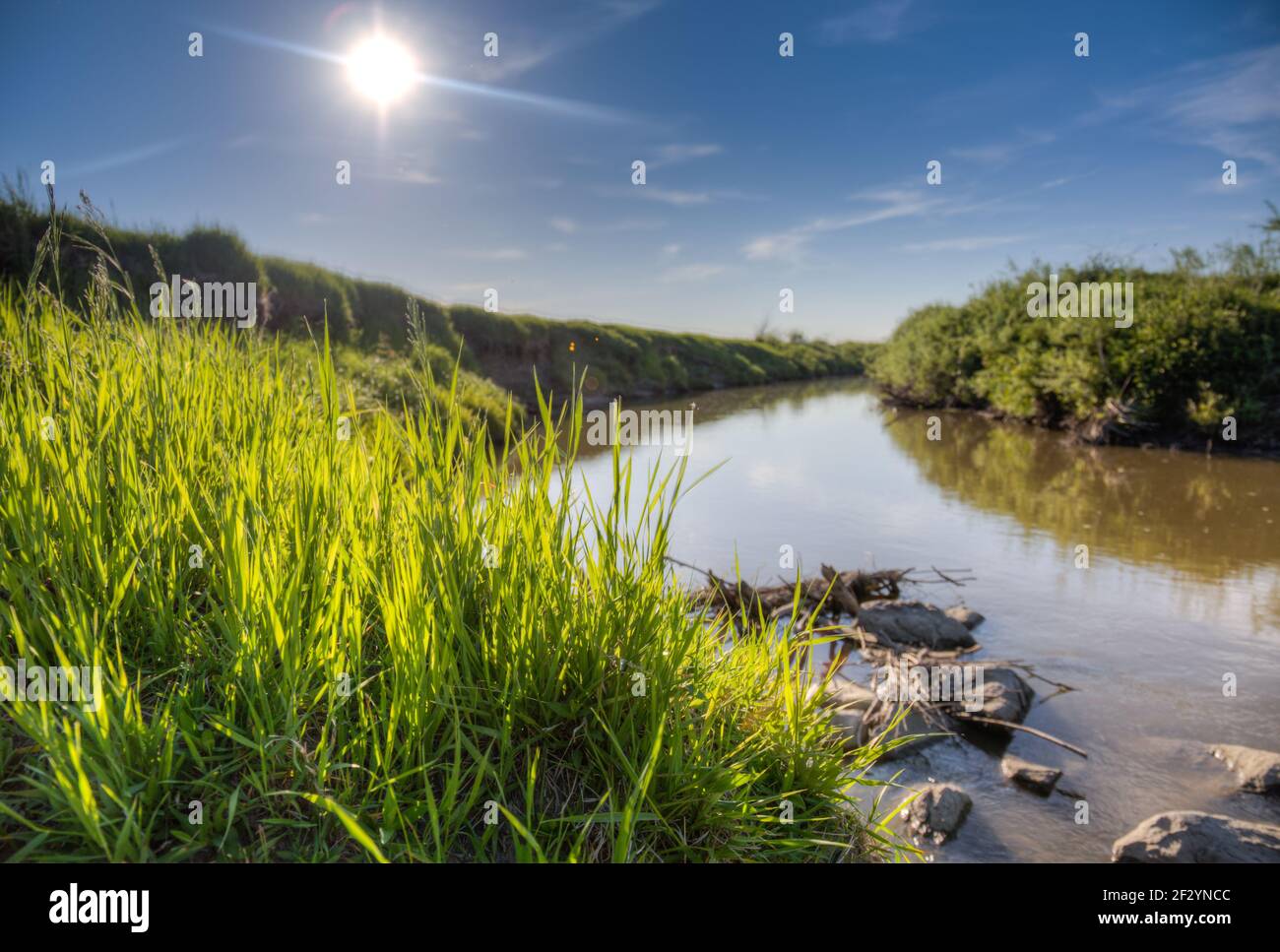 Muddy banks hi-res stock photography and images - Alamy