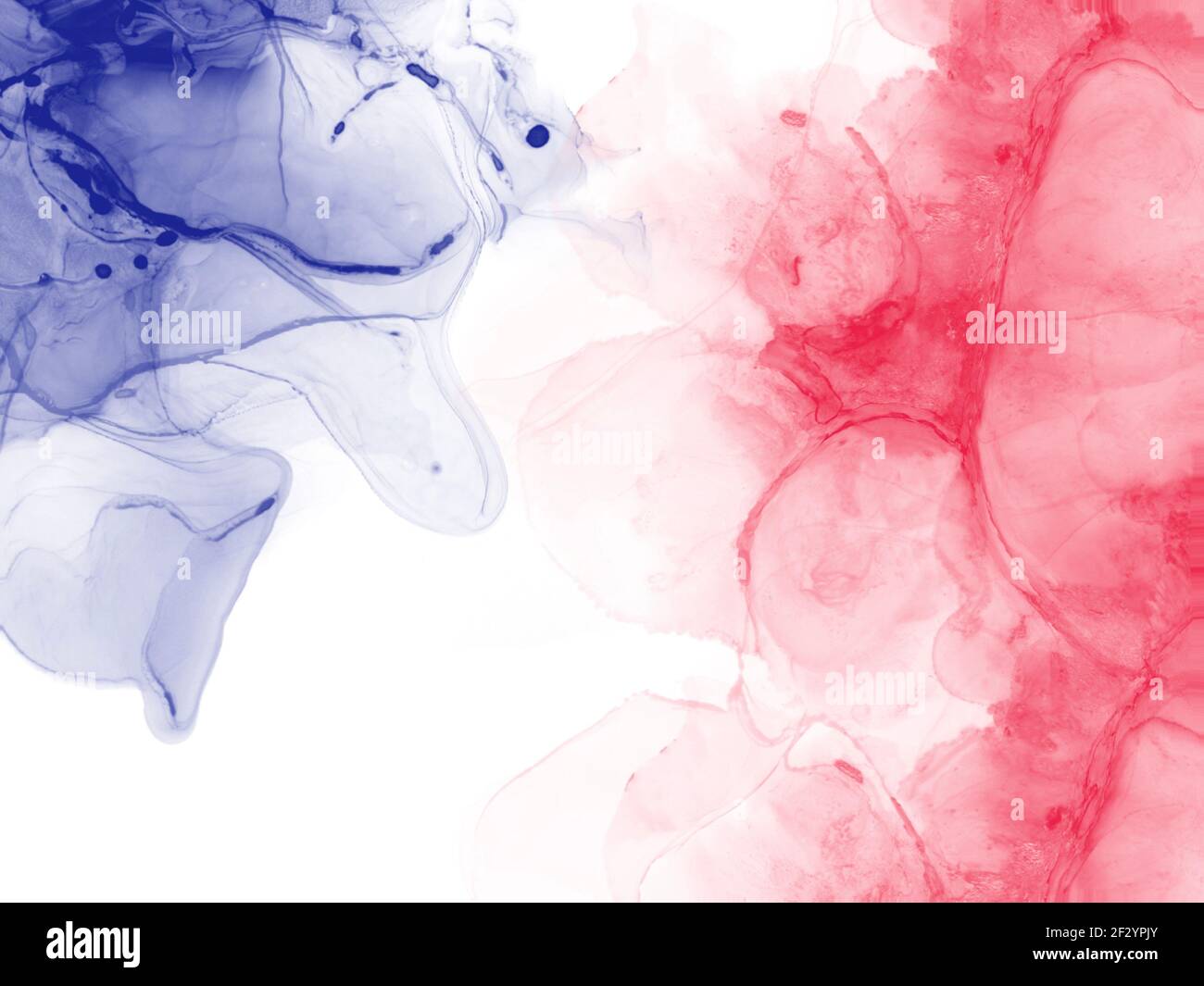 Beautiful abstract colorful digital alcohol ink style pattern and ...