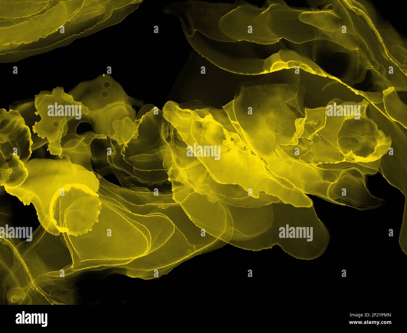 Beautiful abstract colorful digital alcohol ink style pattern and ...