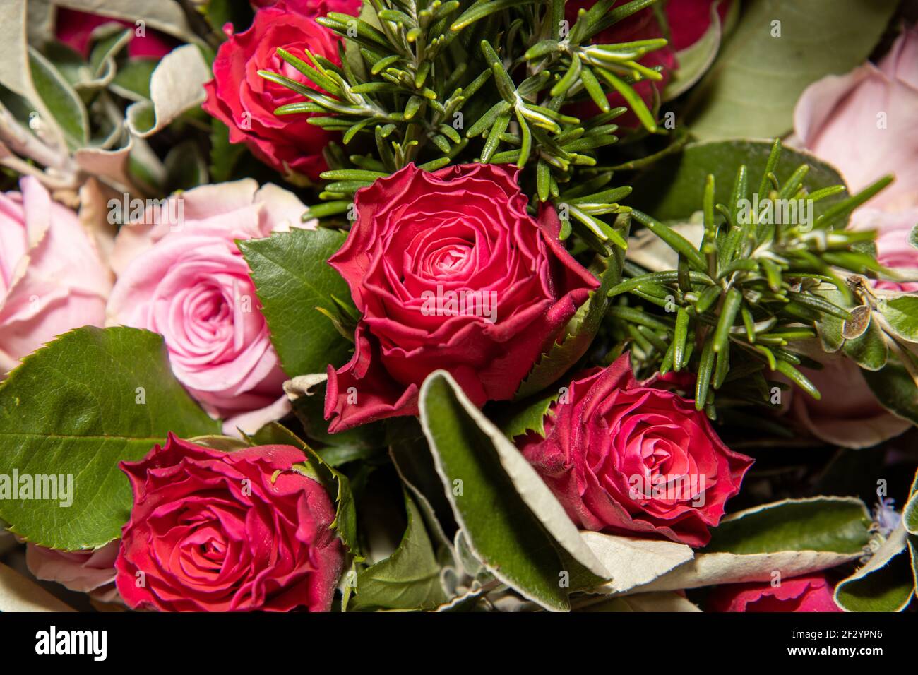 A beautiful bunch of colourful flowers, pink and red roses Stock Photo ...