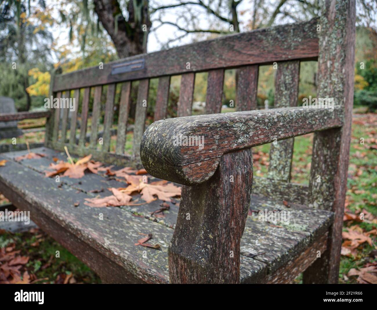 detail of an old wooden park bench covered in leaves Stock Photo - Alamy
