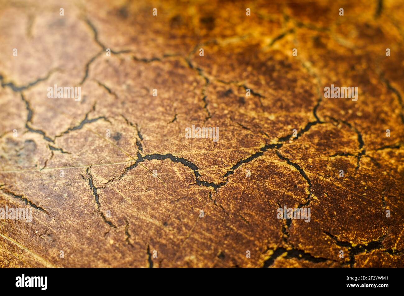 background wallpaper in shades of brown, shallow depth of field Stock ...