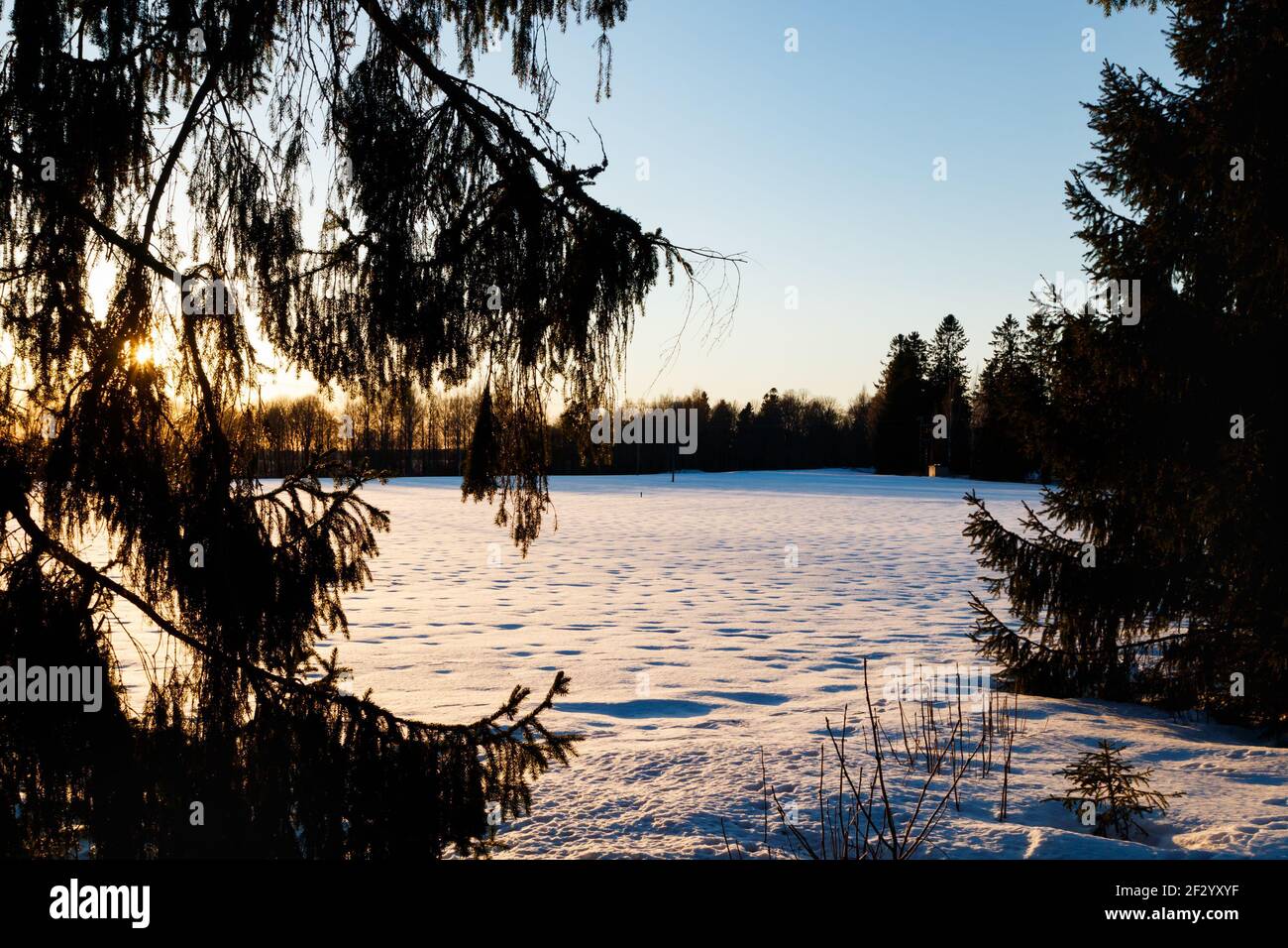 A winter country landscape with snowy field in sunset Stock Photo - Alamy