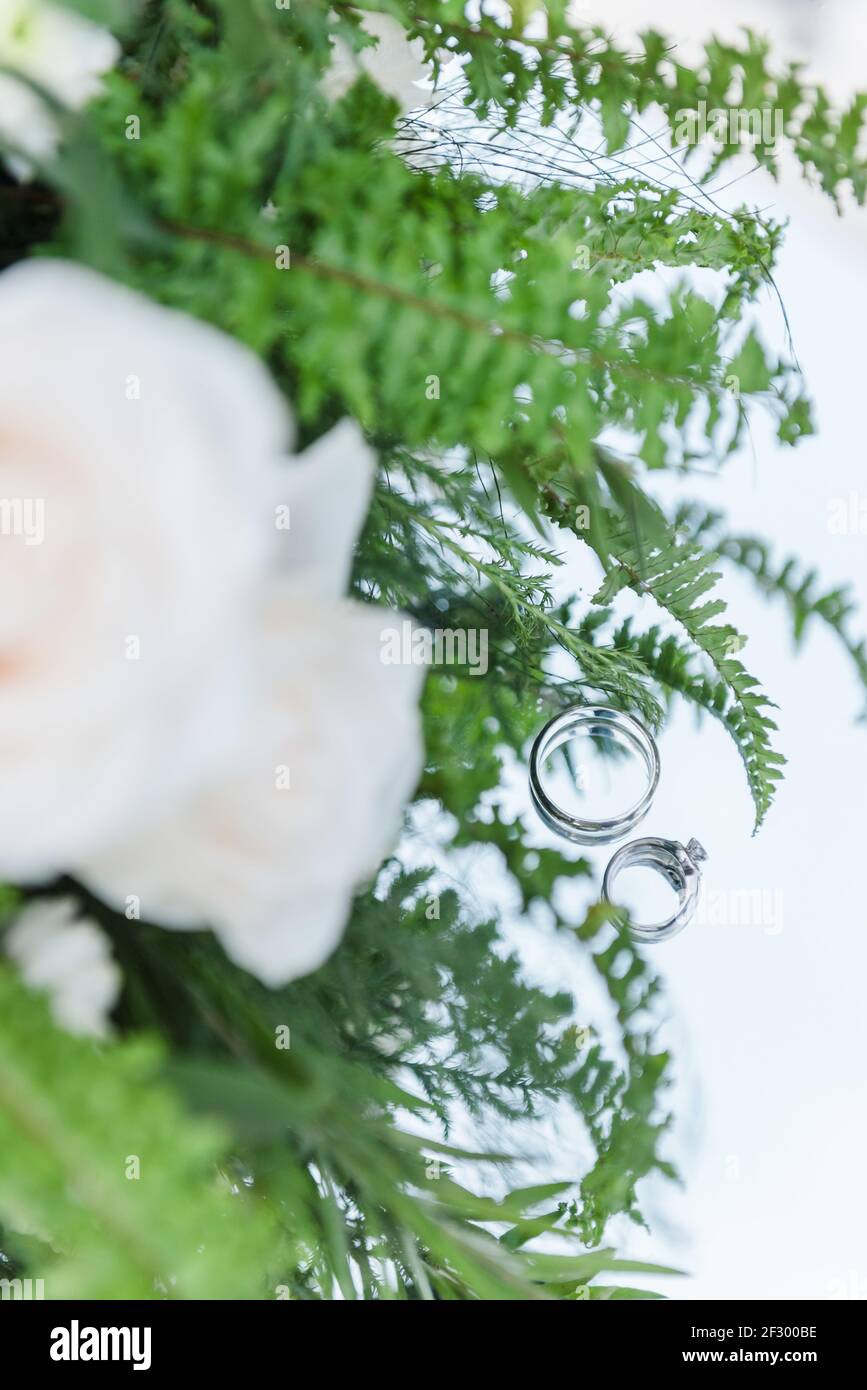 A vertical shot of wedding rings and fern plant on white background ...