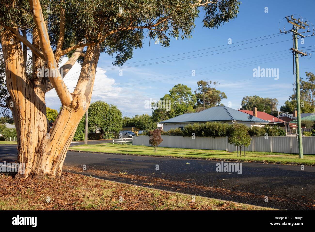 Mudgee australia hi-res stock photography and images - Alamy