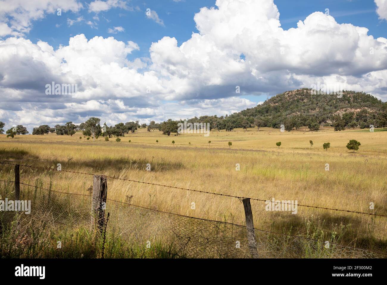 Australian rural landscape hi-res stock photography and images - Alamy