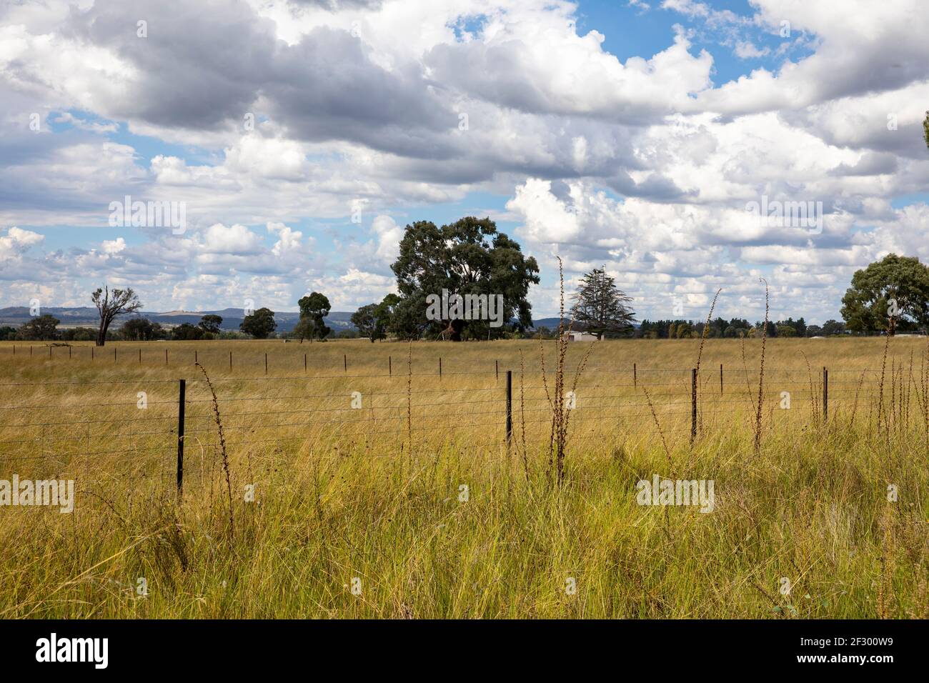Australian rural landscape hi-res stock photography and images - Alamy