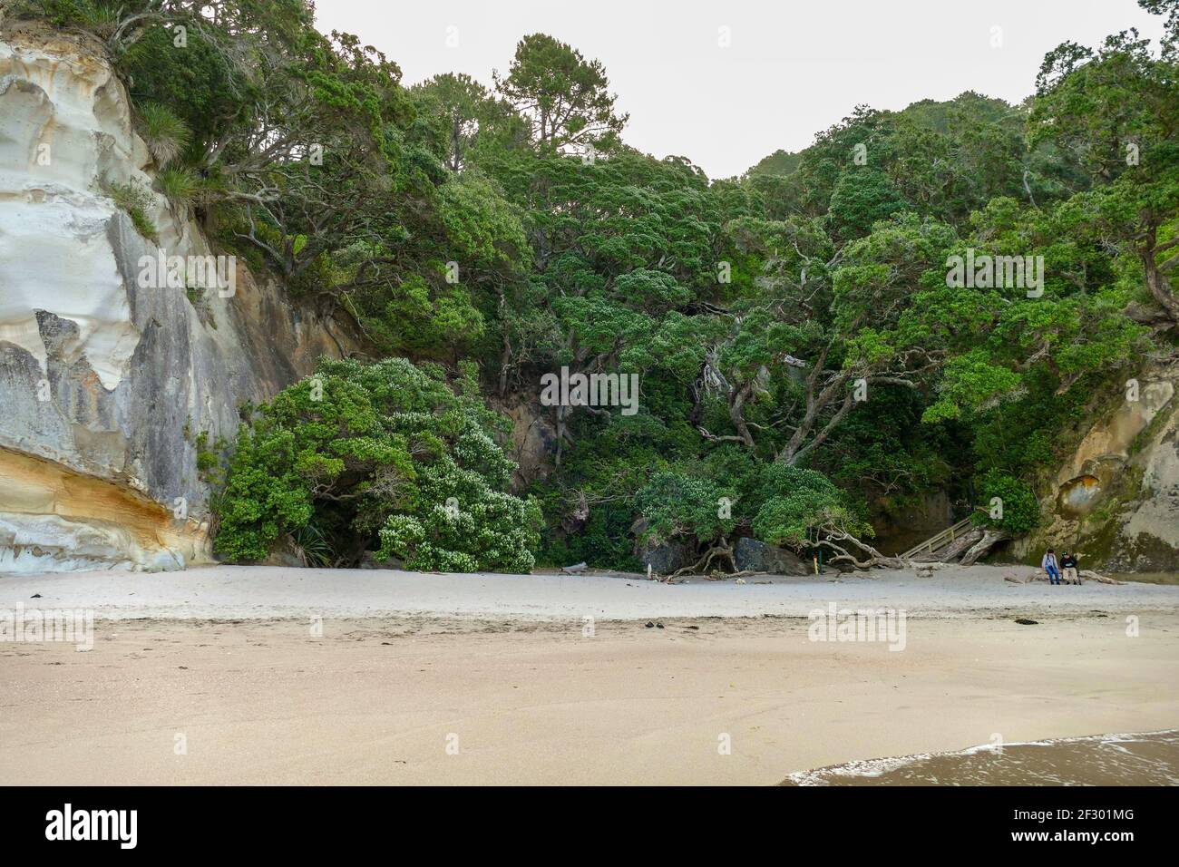 Mercury bay new zealand hi-res stock photography and images - Alamy