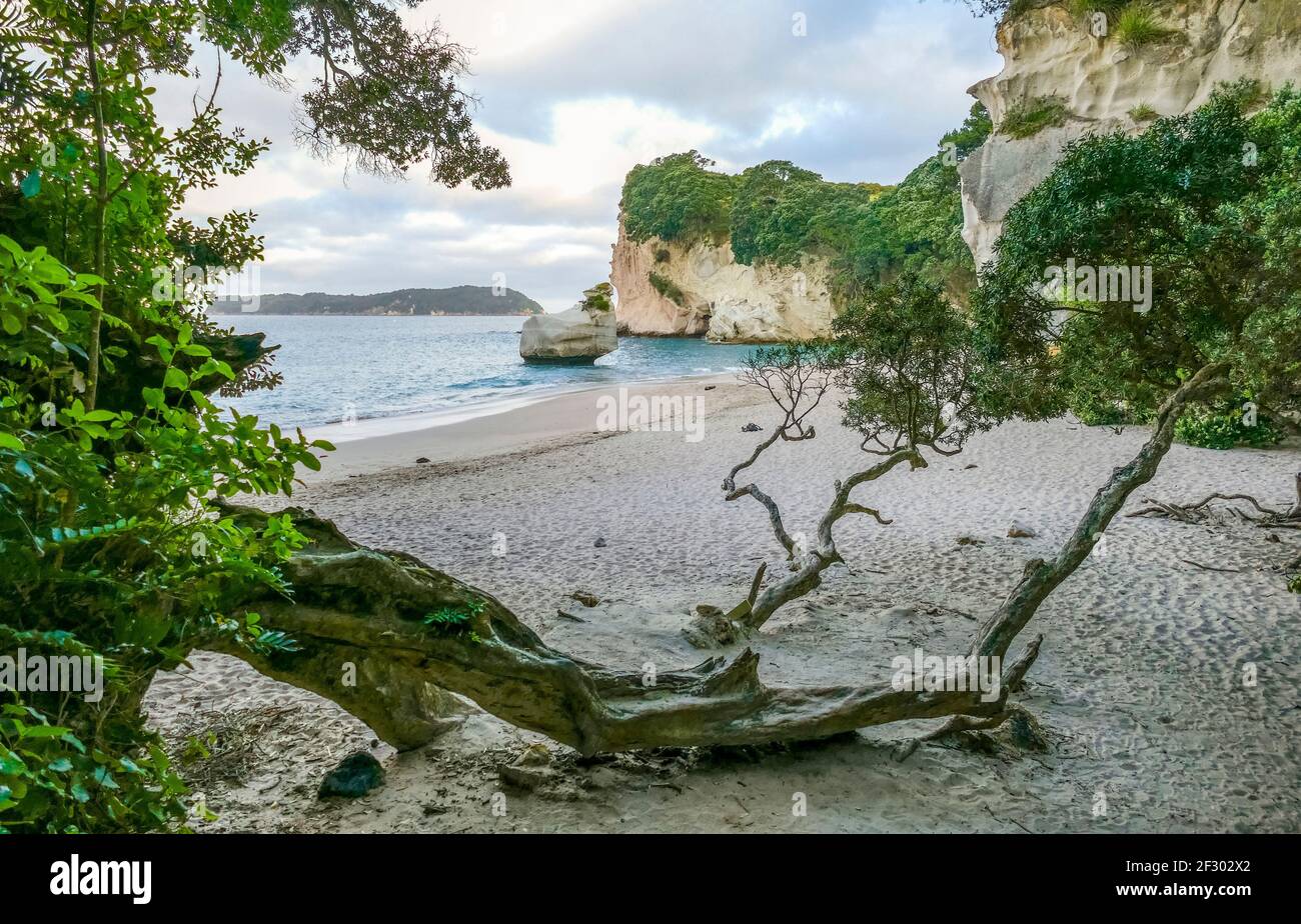 Coastal area named Cathedral Cove in the southern part of Mercury Bay ...