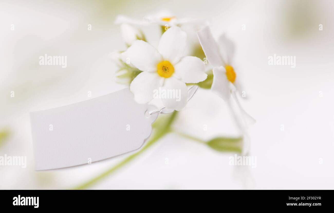 Label zum label hi-res stock photography and images - Alamy