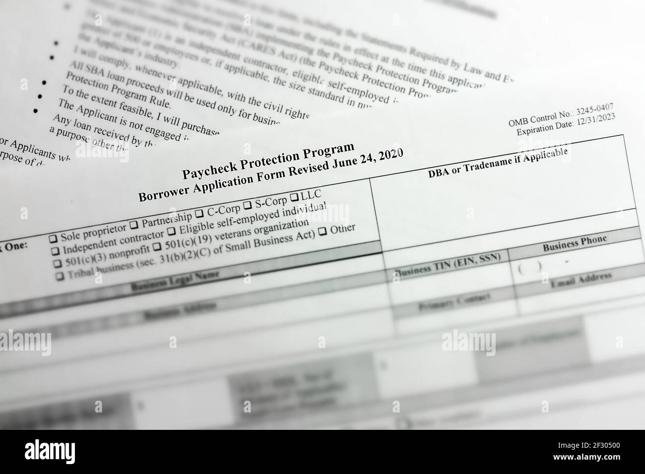 selective focus photo of paycheck protection program borrower ...
