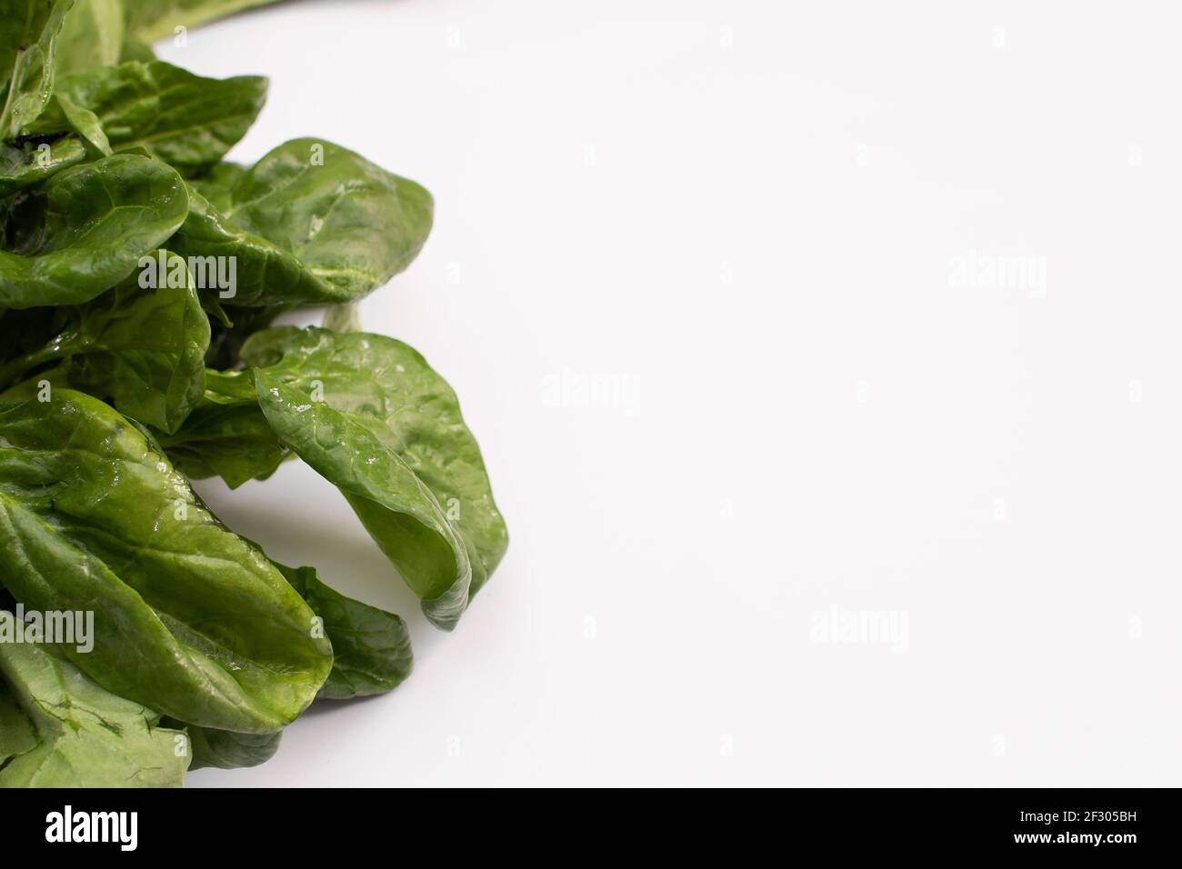 Spinach white background hi-res stock photography and images - Alamy